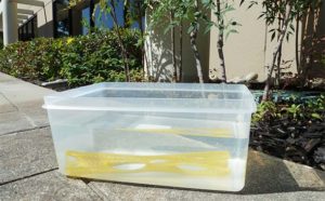 Can you Over Cure resin 3D prints? – 3D Solved